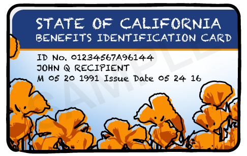 Digital Lead Card - Romy Bermudez